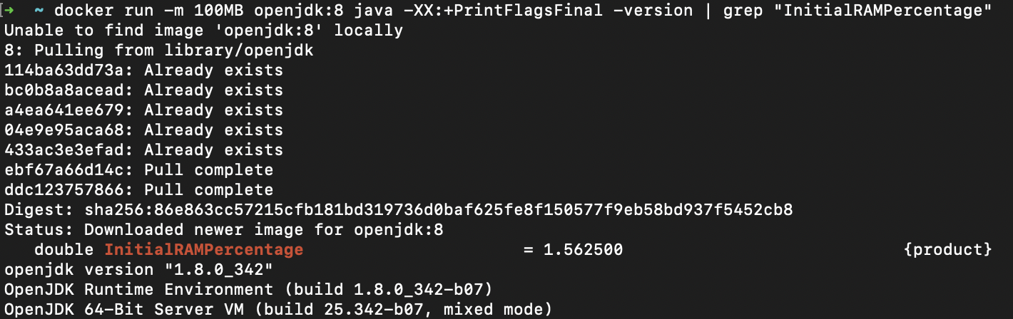 [도커] - 컨테이너 환경에서의 JVM Heap Memory 설정