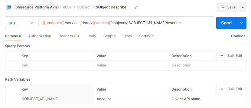 Salesforce API 활용 - 1