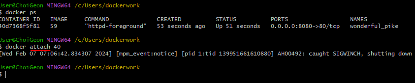 Docker exec & attach