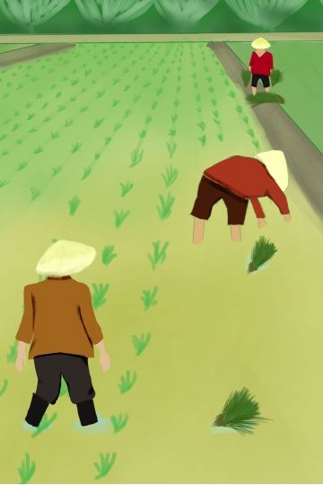 swea #2805 농작물 수확하기