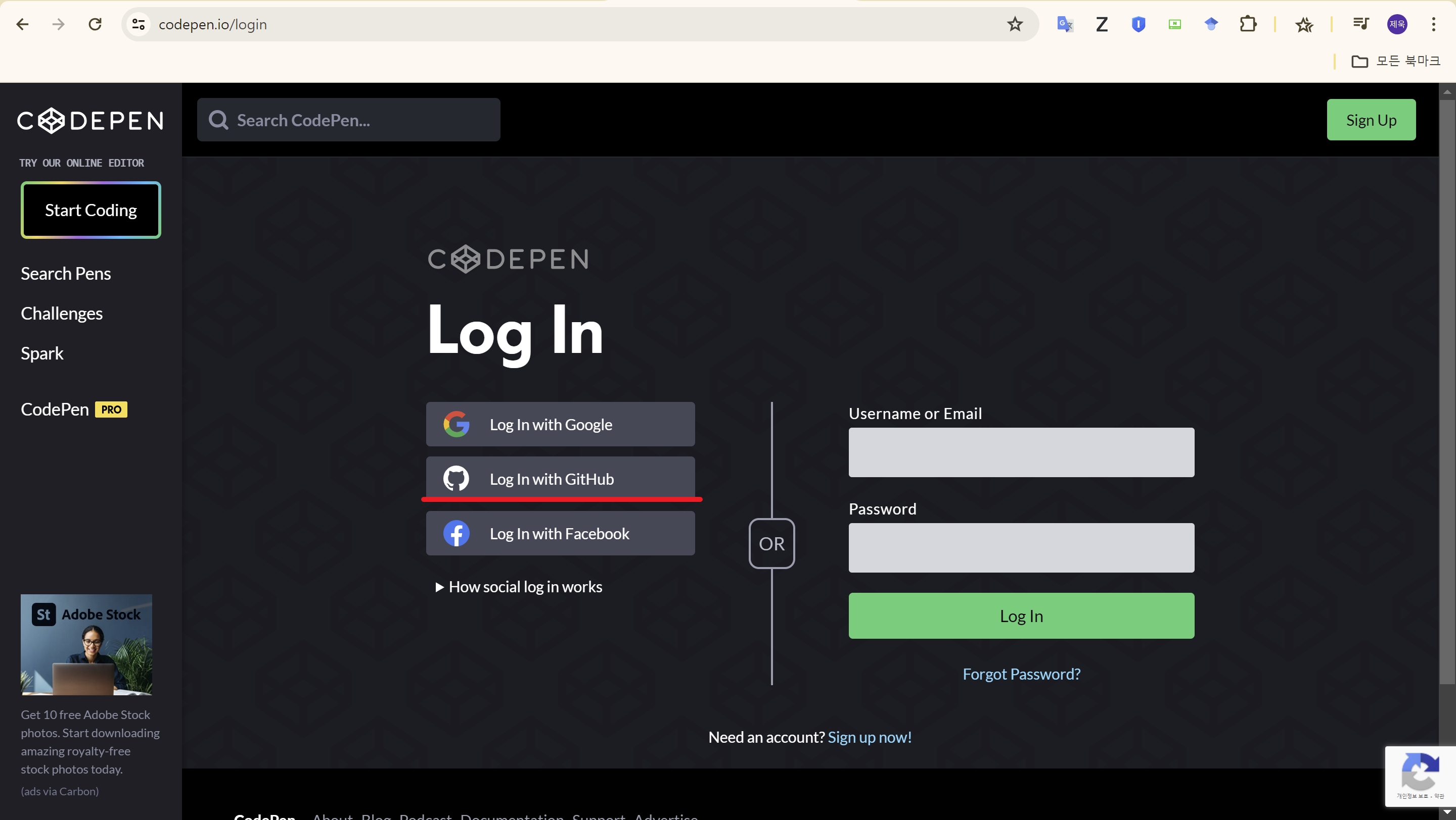 [CodePen] 코드펜 설정하기