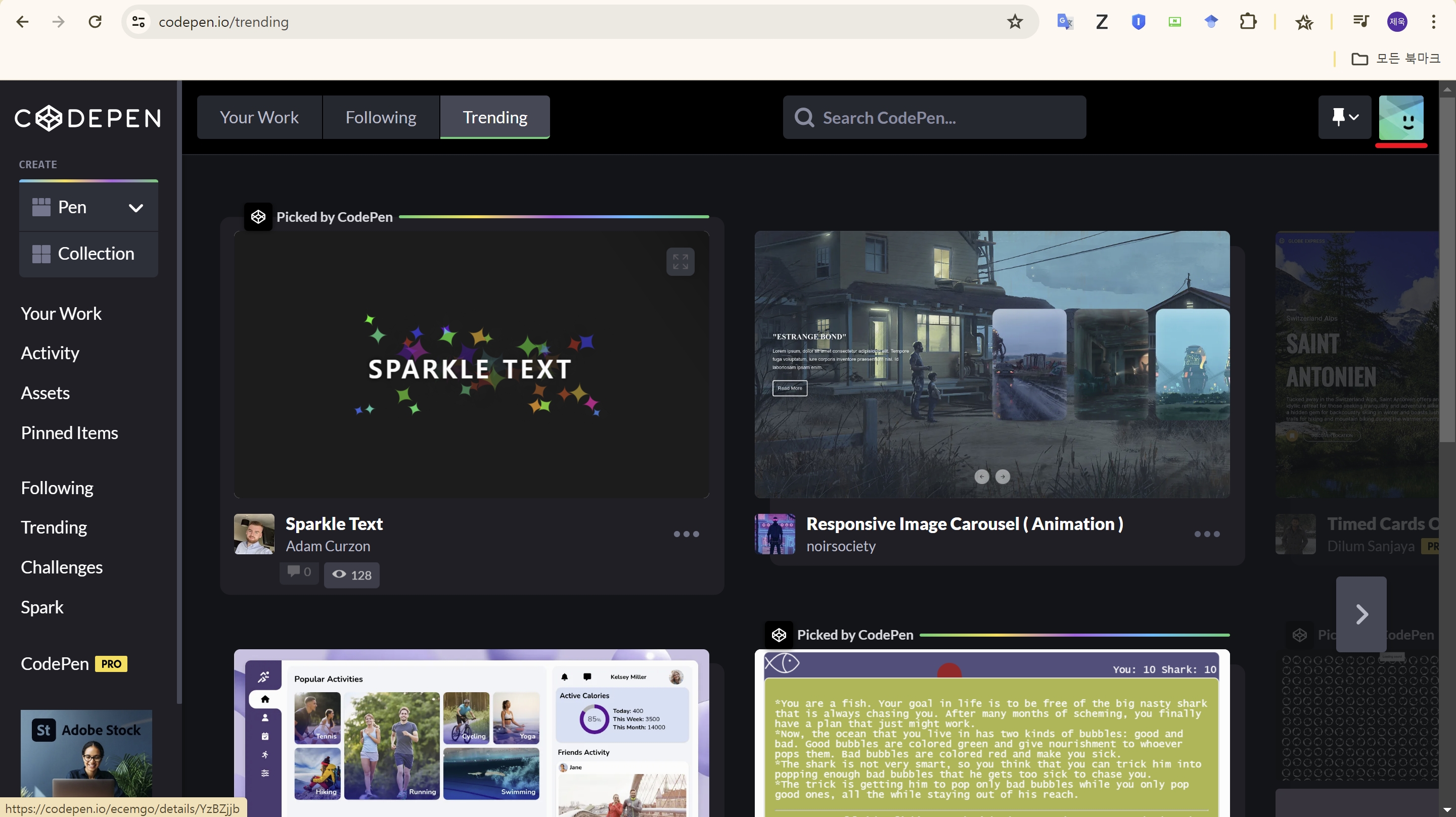 [CodePen] 코드펜 설정하기