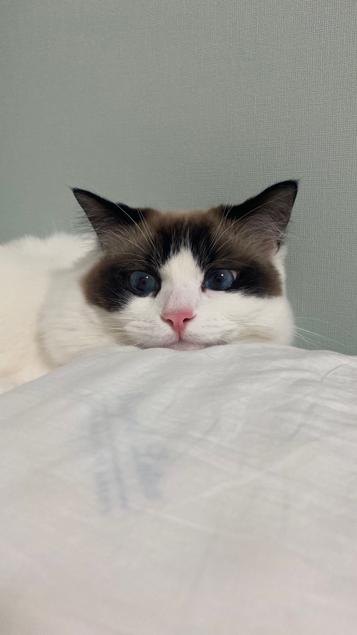 STS - CONSOLE PERFORMANCE WARNING (from Ansi Console)