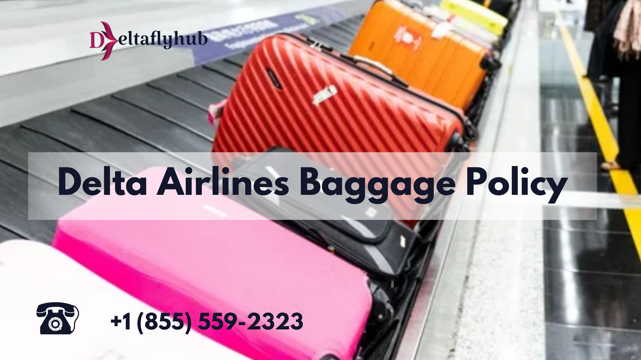 All You Need To Know About Delta Airlines Baggage Policy