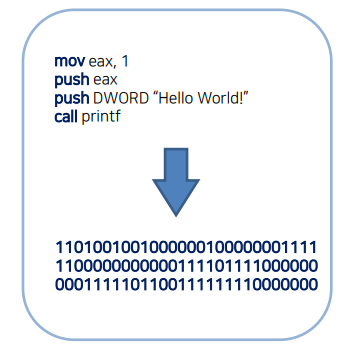 💻 컴퓨터 구조 - 2. 기계어, 어셈블리어, 고급언어 비교