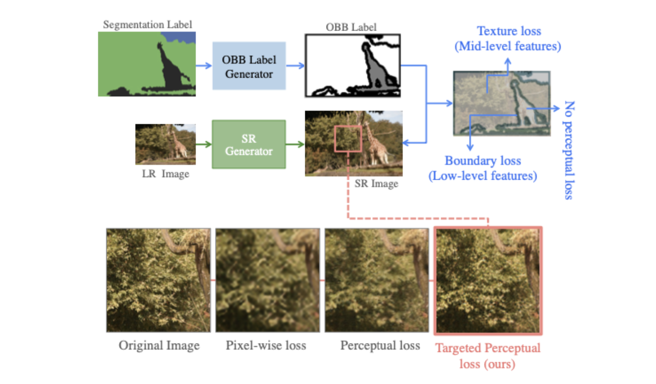 SROBB: Targeted Perceptual Loss for Single Image Super-Resolution