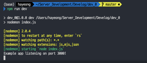[Node JS] Nodemon 설치