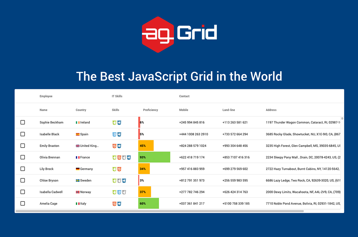  Vue AG Grid AG Grid 