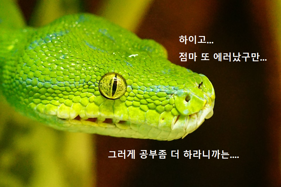 [Python] SettingWithCopyWarning 원인