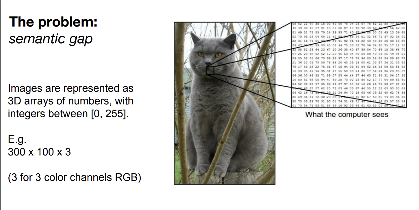 2. CS231n: Deep Learning for Computer Vision review (Image Classification)
