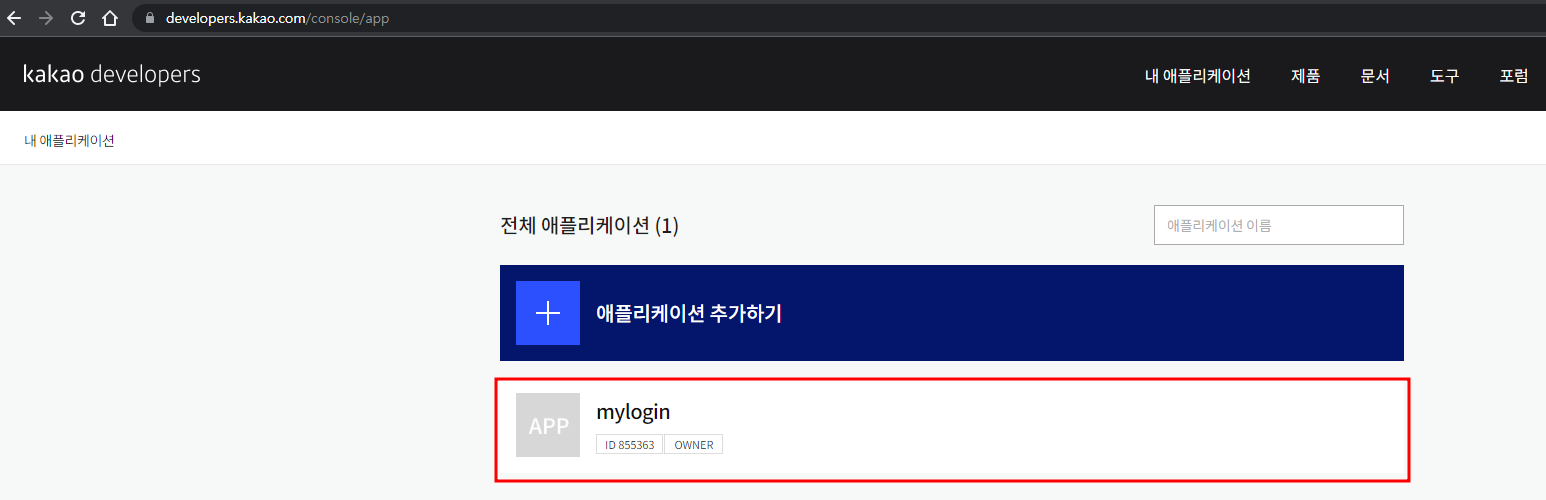[Node.js/Express] Kakao Login 사용해보기