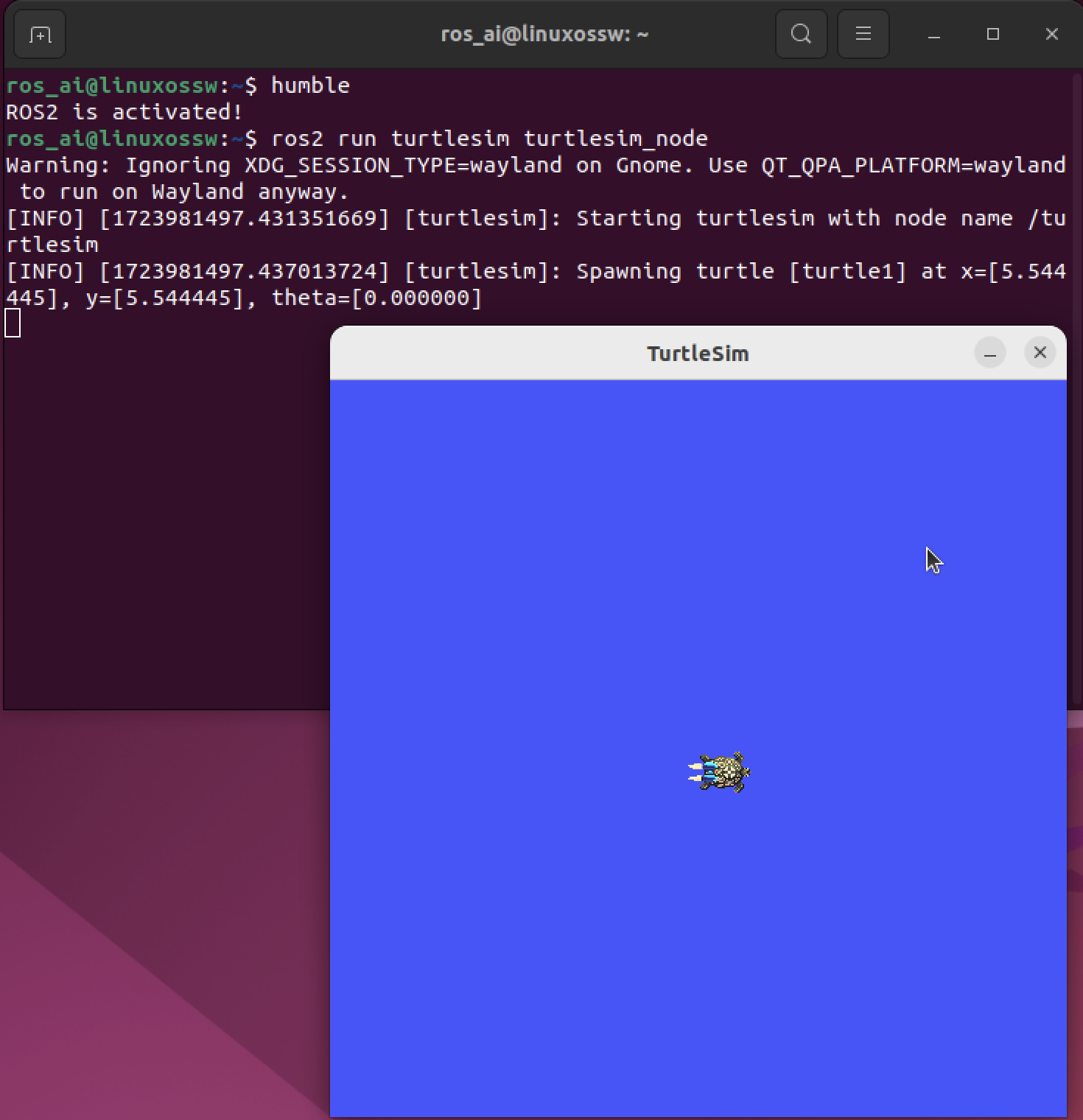 [ROS2] Terminal 설정 및 turtlesim