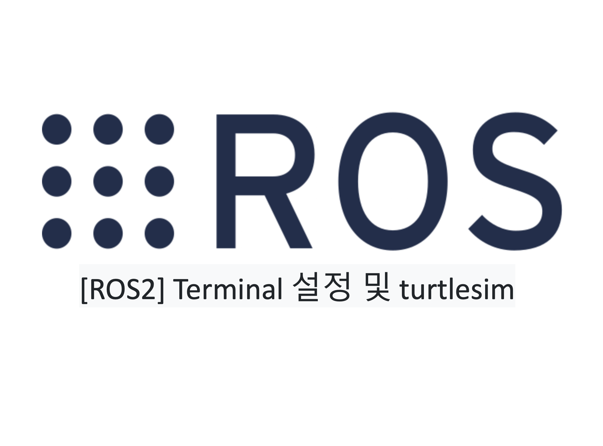 [ROS2] Terminal 설정 및 turtlesim