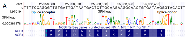 DNA language models are powerful predictors of genome-wide variant effects