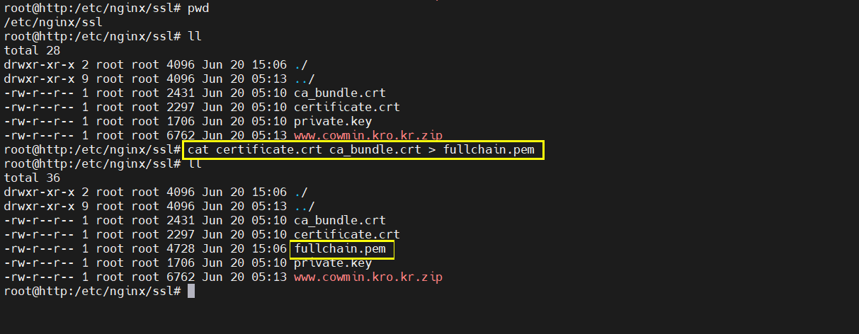 [HTTPS] Nginx 웹 서버에 SSL 인증서 적용하기