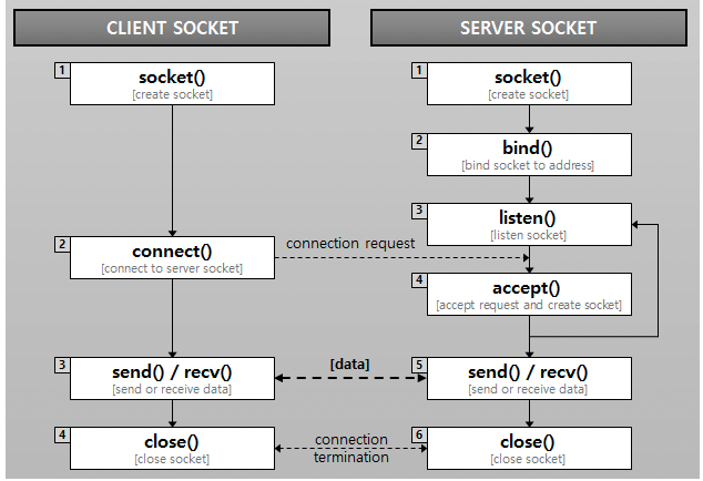 [web proxy server] 소켓(SOCKET)이란?