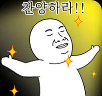 JNI 적응기 (2) - so, CMake, ONNX