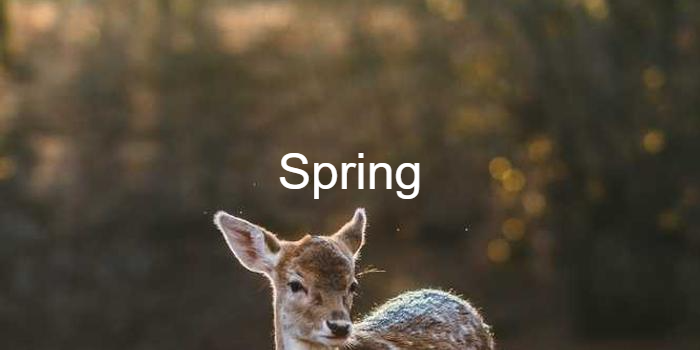 dailylifecoding (식빵) - velog