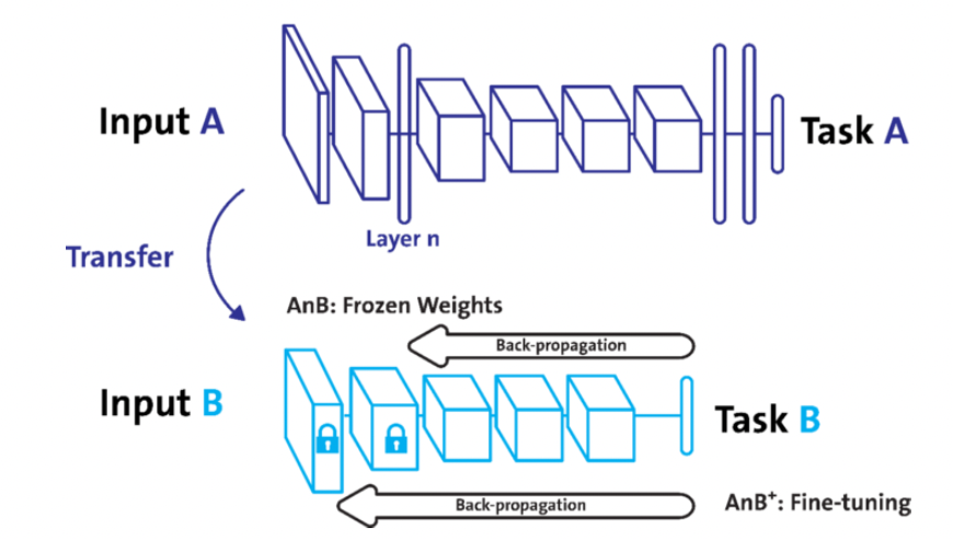 부스트캠프 Week3 Pytorch(2)