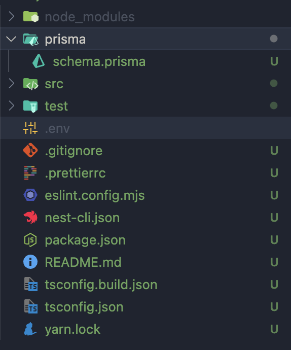 [ NestJS & Prisma ] 프로젝트 세팅, prisma db push 하기