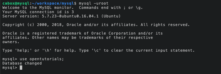 [MySQL] 기본적인 CRUD 수행하기