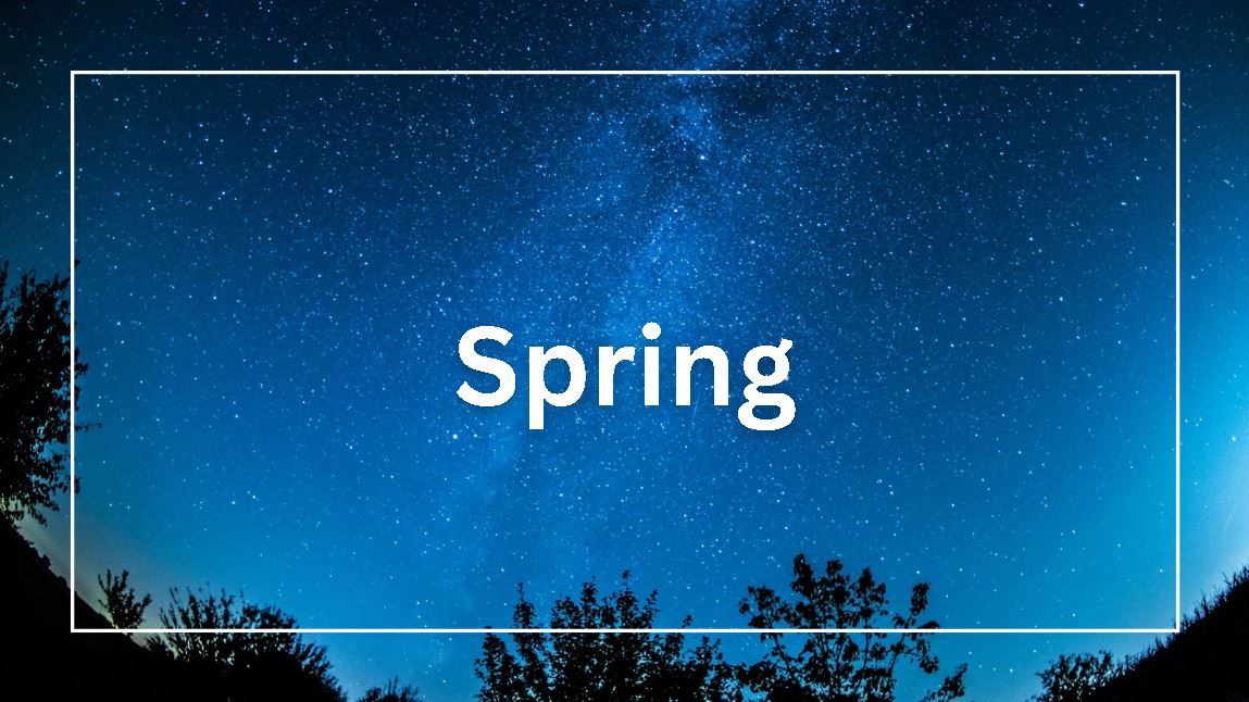 Spring Enum 4485