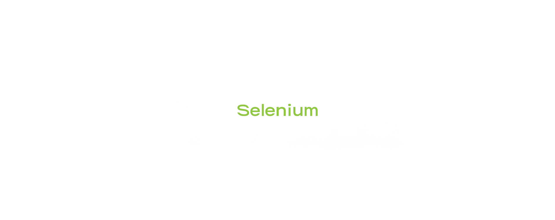 Selenium 이란?