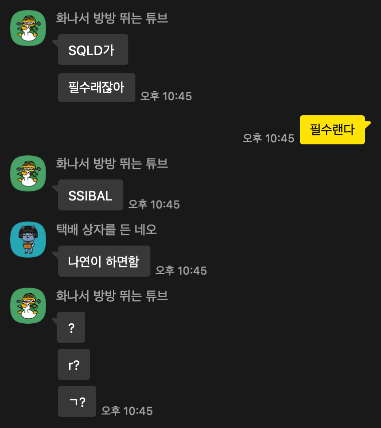 56회 SQLD 합격 회고