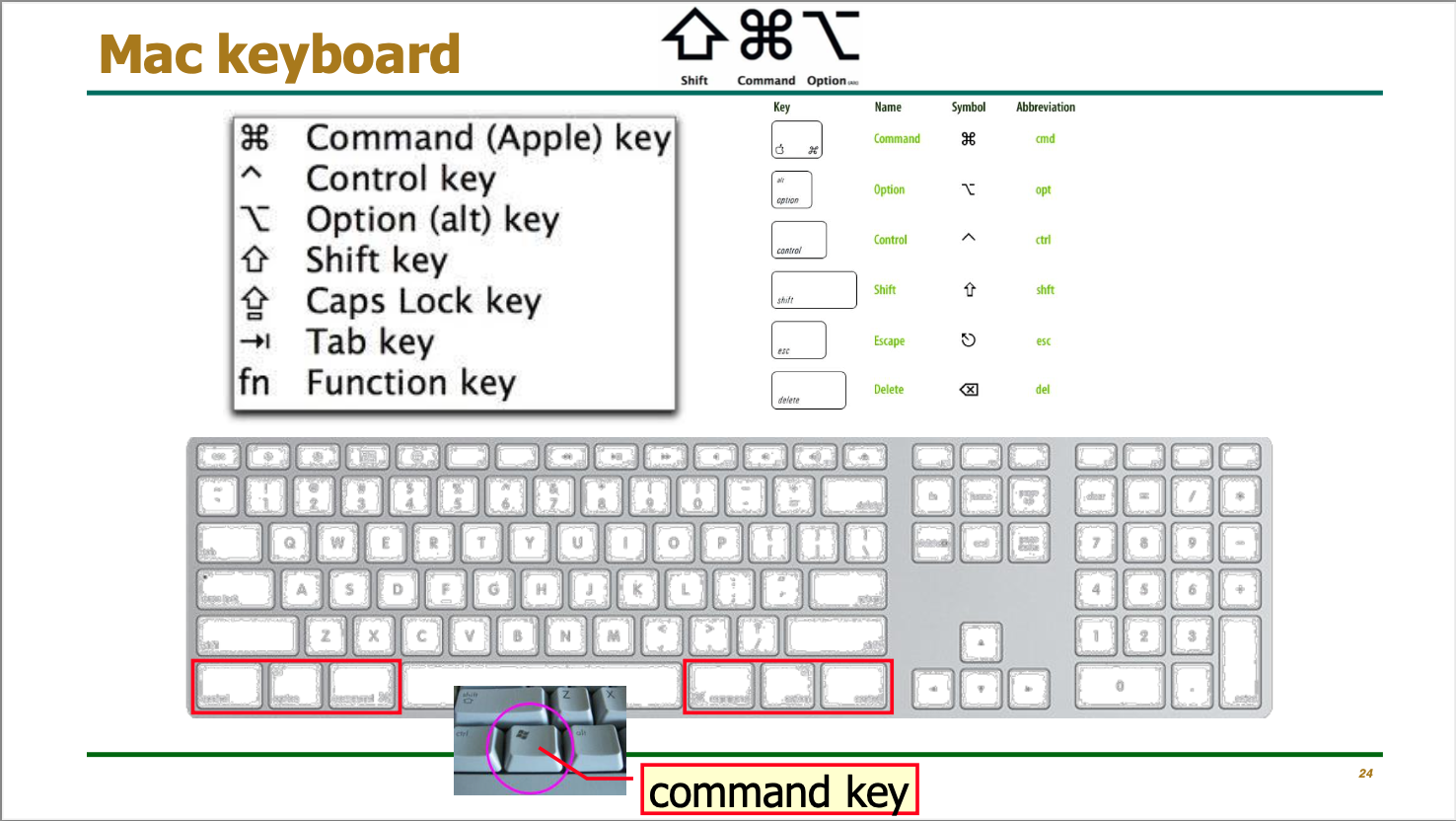 iOS 프로그래밍 2주차