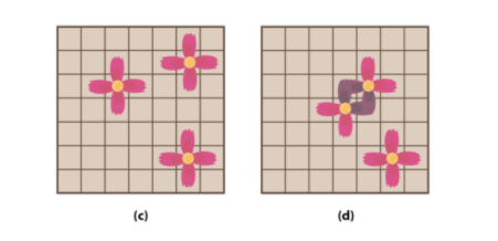 [Algorithm] BaekJoon : 14620. 꽃길 by Python
