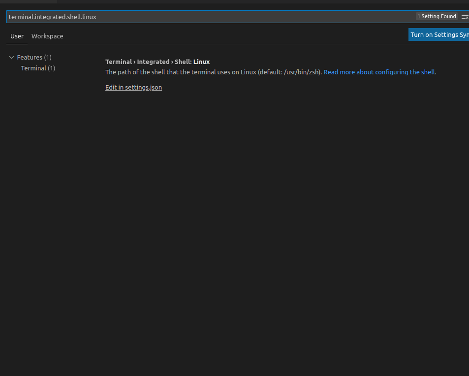VS Code 터미널 열리지 않음