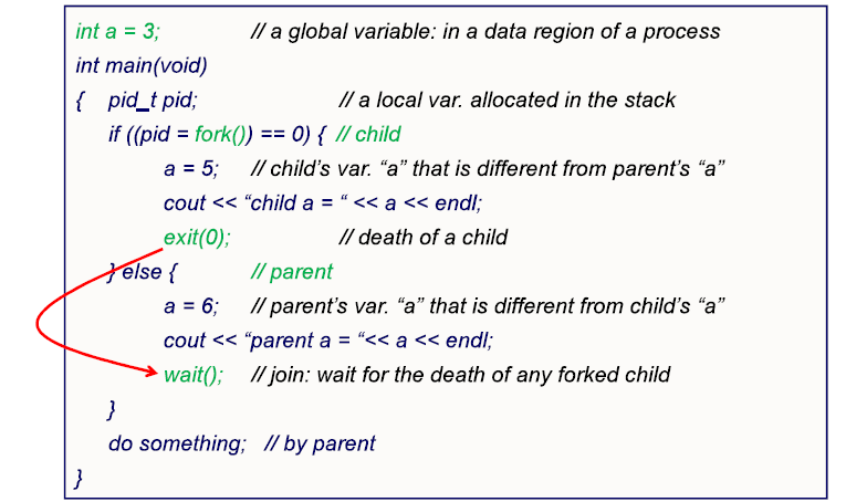 fork, wait, exit, exec