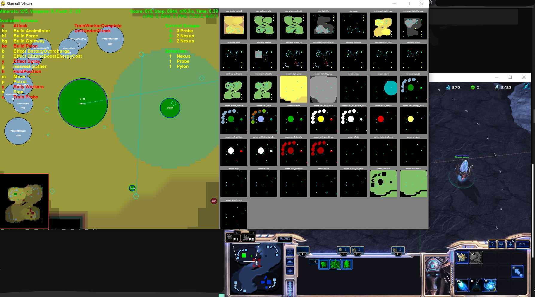 환경 세팅_PySC2_0