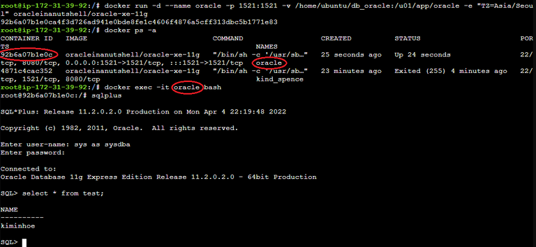Docker Db서버 컨테이너화2 실습 