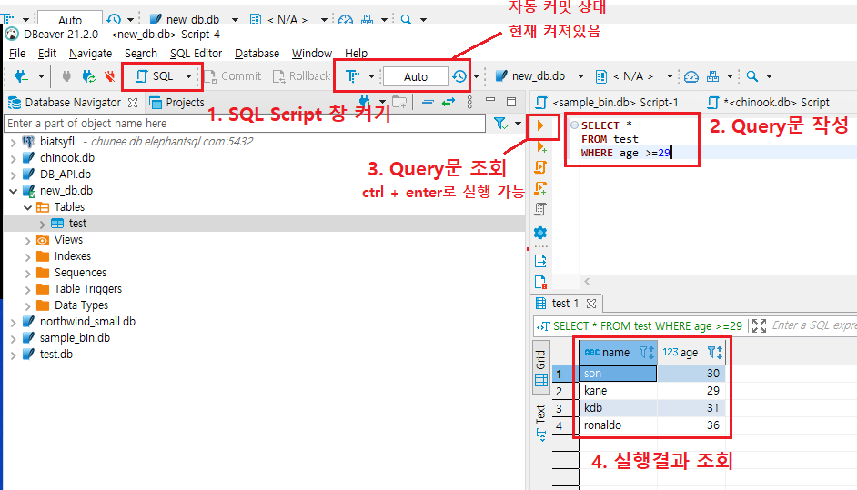 SQL[sqlite]- Visual Studio Code를 이용한 python 연동, DB툴 활용(Dbeaver)
