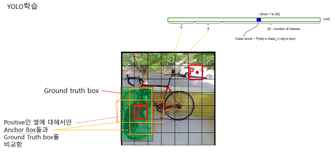 Object Detection_YOLO