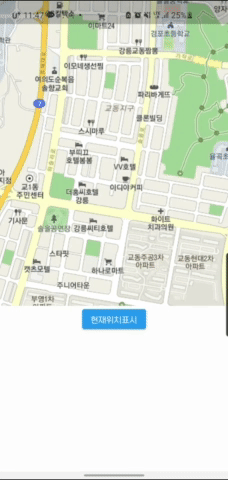 [Flutter] Kakao map API와 WebView