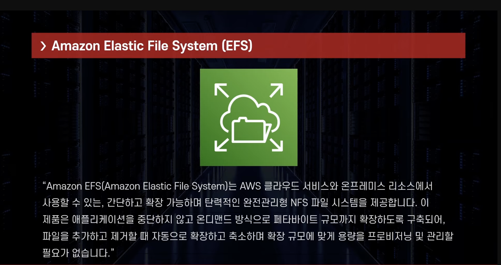 AWS 11 EFS
