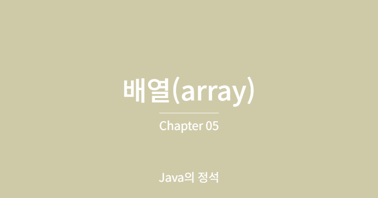Java Java의 정석 Chapter 05 배열 Array