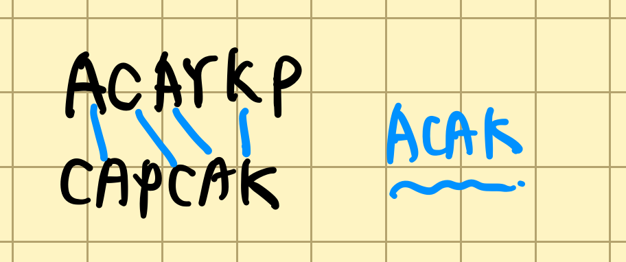 [백준/Python] 9251 LCS