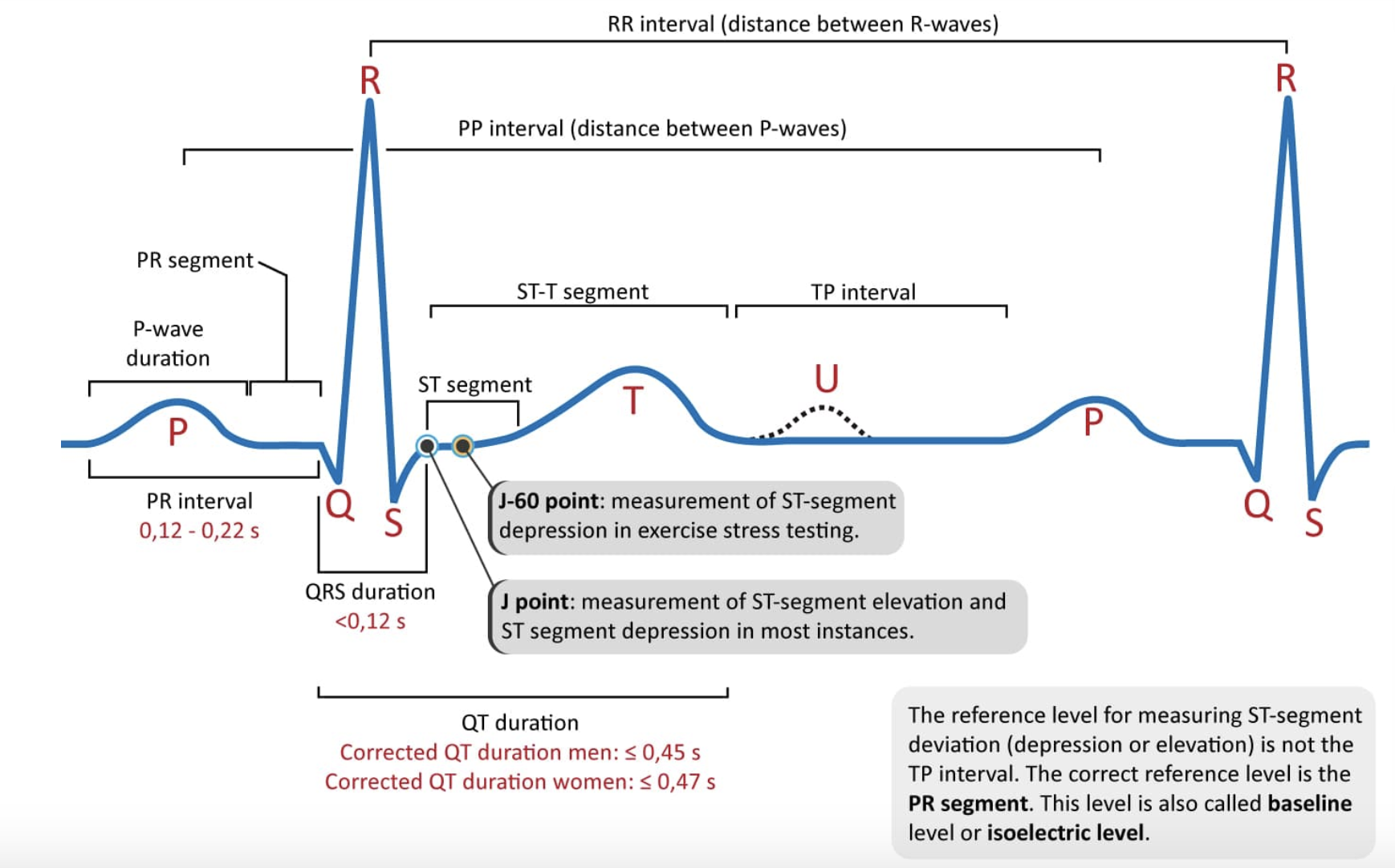 [Biomedical] ECG