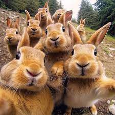 [python] 피보나치 수 2 백준 2748