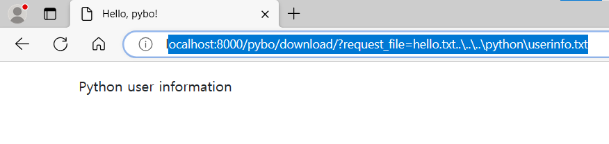 SK Shieldus Rookies 19기💛어플리케이션 보안 7일차(Python 시큐어코딩 가이드 입력 데이터 검증 및 표현까지)