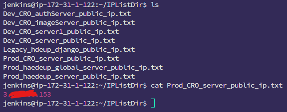 Jenkins - EC2 Public IP 조회하기