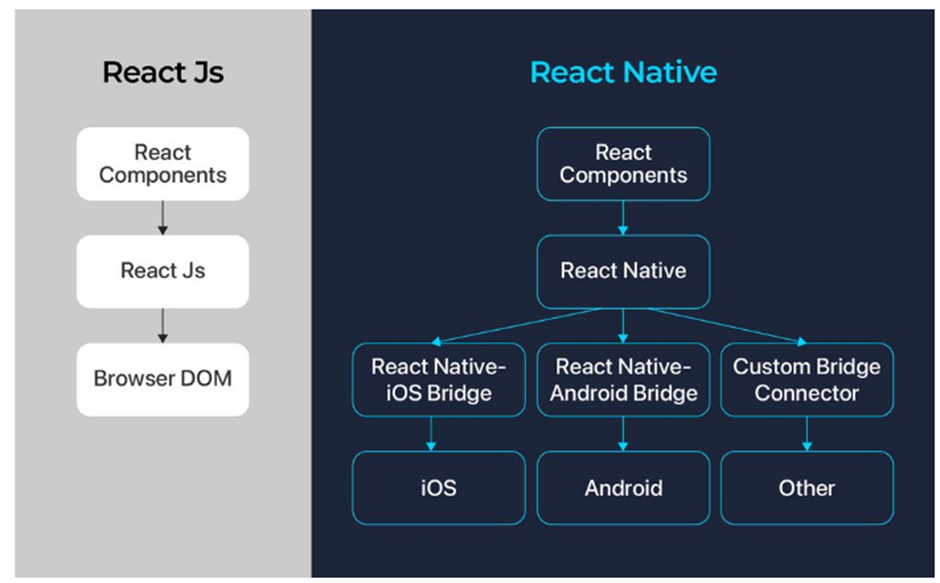 React And React Native React와 React Native의 차이점