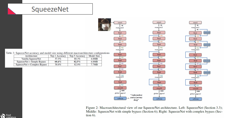 [image classification] MobileNet, SqueezeNet, DenseNet