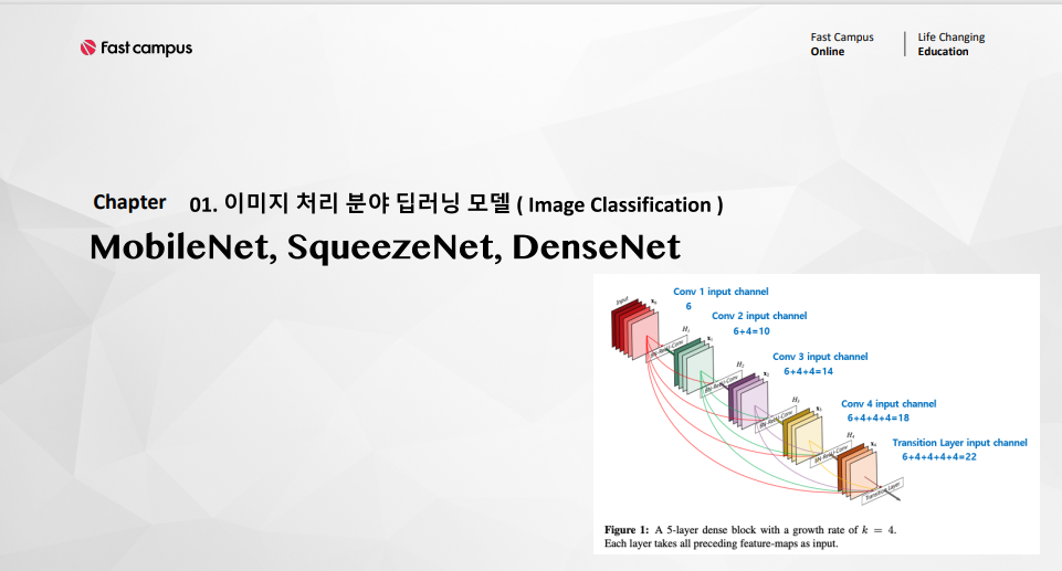 [image classification] MobileNet, SqueezeNet, DenseNet