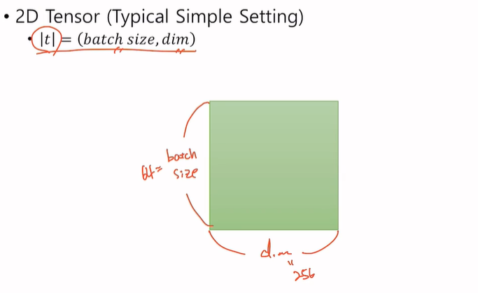Pytorch Lab 01 Tensor Manipulation