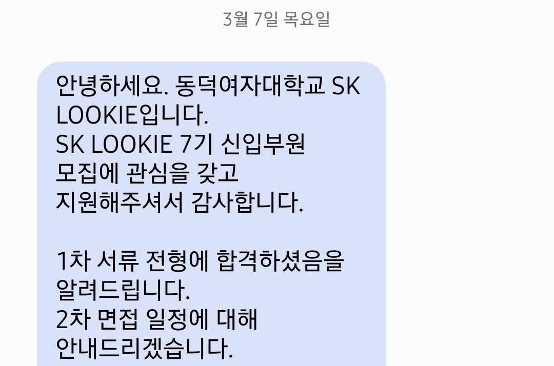 상반기 SK LOOKIE 최종 합격 후기