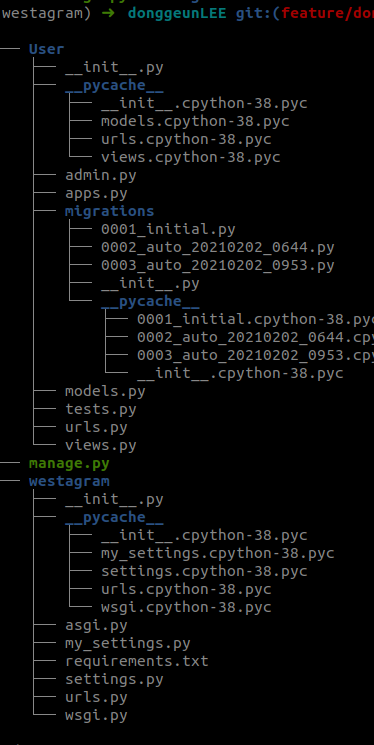 TIL - 41 westagram -1